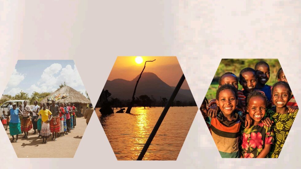 Home / TY Danjuma Foundation